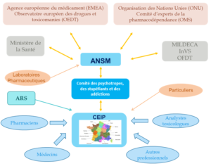 Addictovigilance – SHUPT Lyon